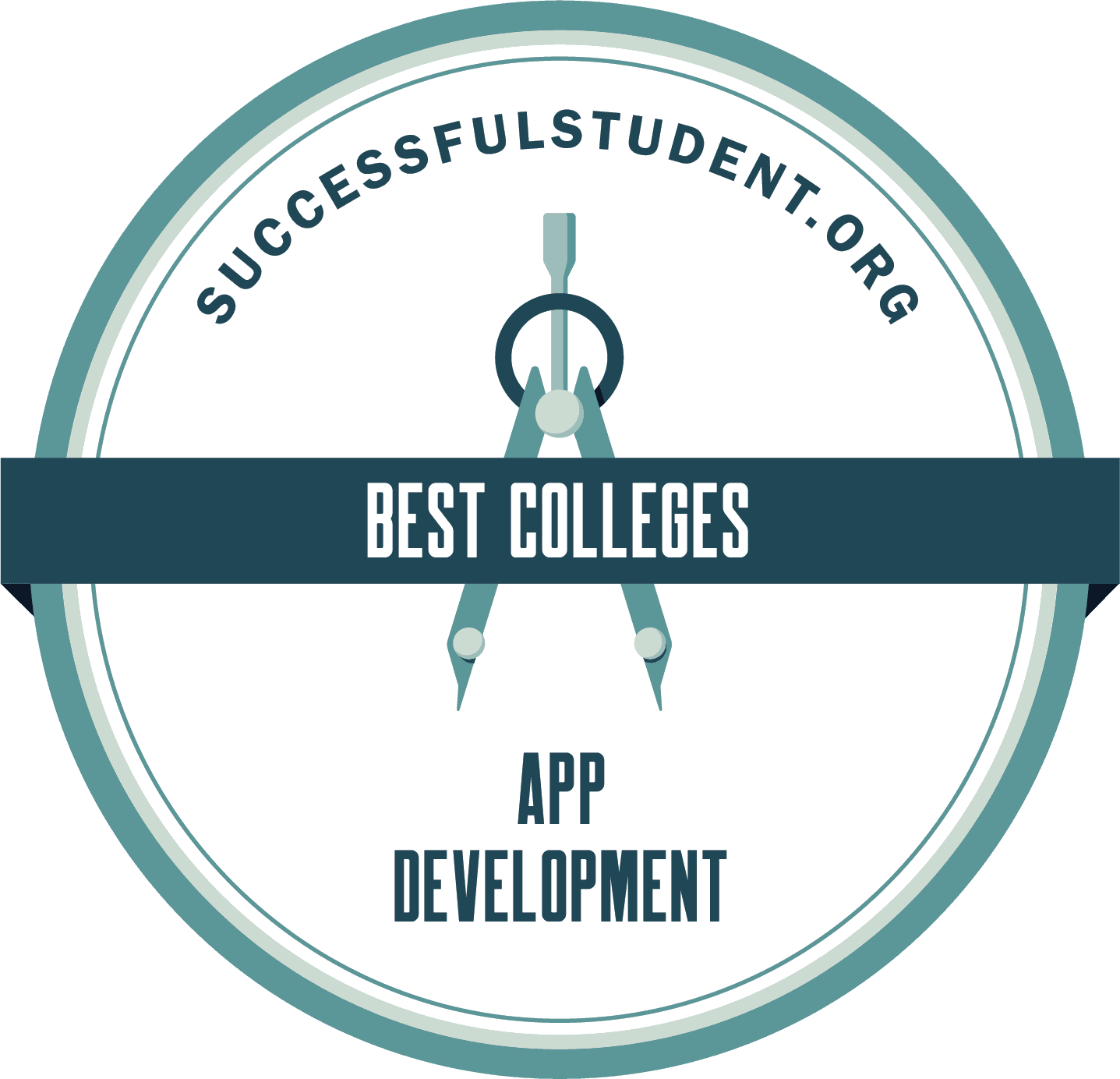 The Best App Development Colleges - Successful Student