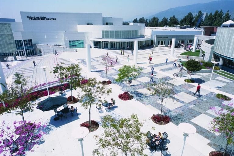 The Best Online Screenwriting Colleges - Successful Student