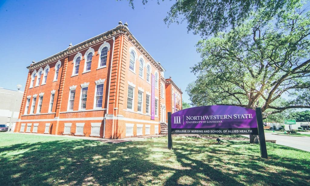 The Best Accounting Online Colleges - Successful Student