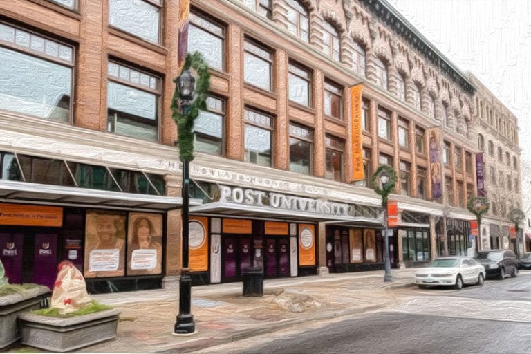 The Best Accounting Online Colleges - Successful Student