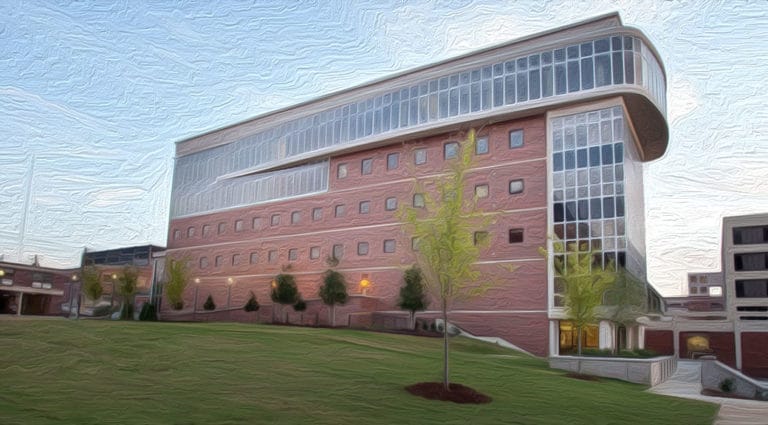 The Best Accounting Online Colleges - Successful Student