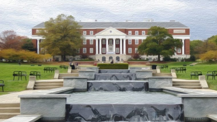 The Best Artificial Intelligence Colleges - Successful Student The Best Artificial Intelligence Colleges - Successful Student